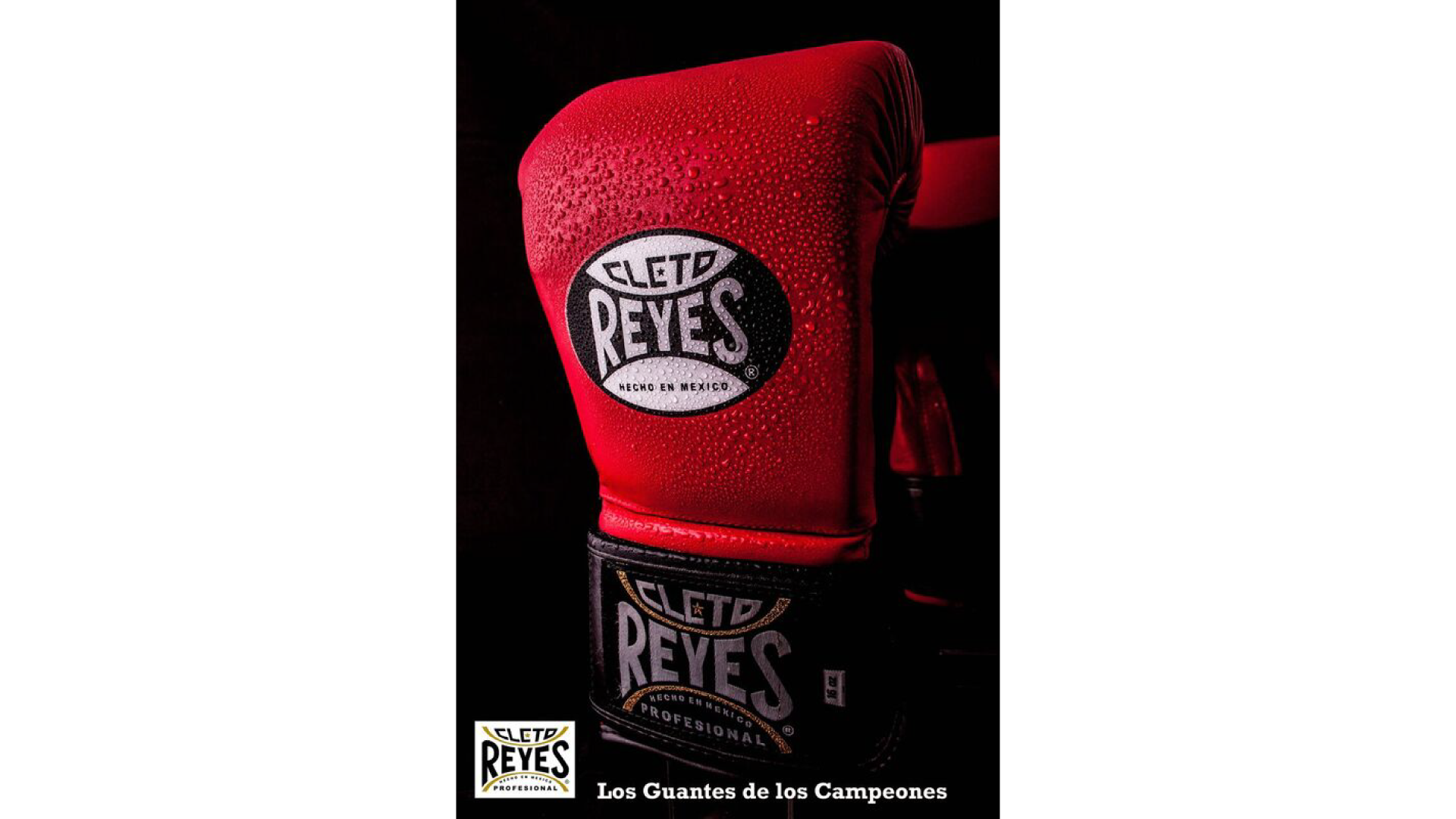 CLETO REYES｜株式会社イングラム